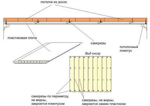 Панели ПВХ: размеры и характеристики изделий для стен и потолка