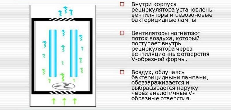 Ультрафиолетовая лампа для домашнего использования: выбор