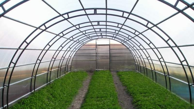 Парник из поликарбоната: размеры и цены готовых конструкций